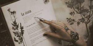 How To Create a Wiccan Book of Shadows (Complete Step-by-Step Guide)